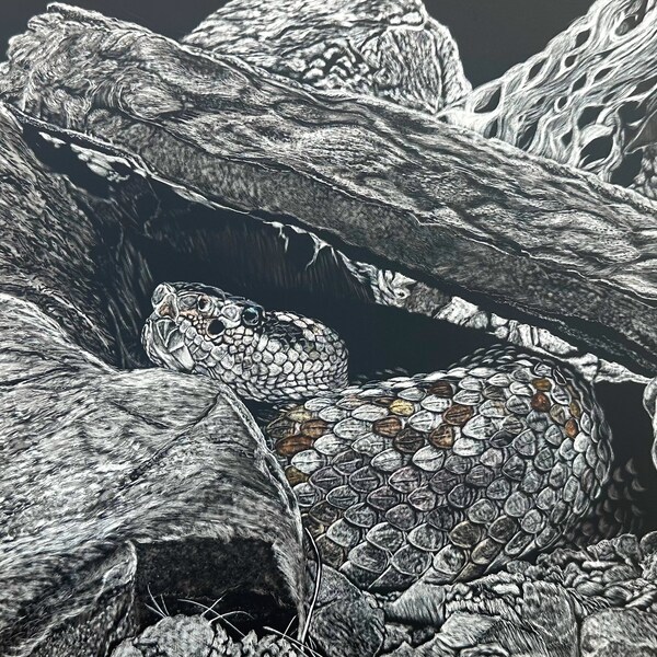 Rattlesnake Art - Etsy