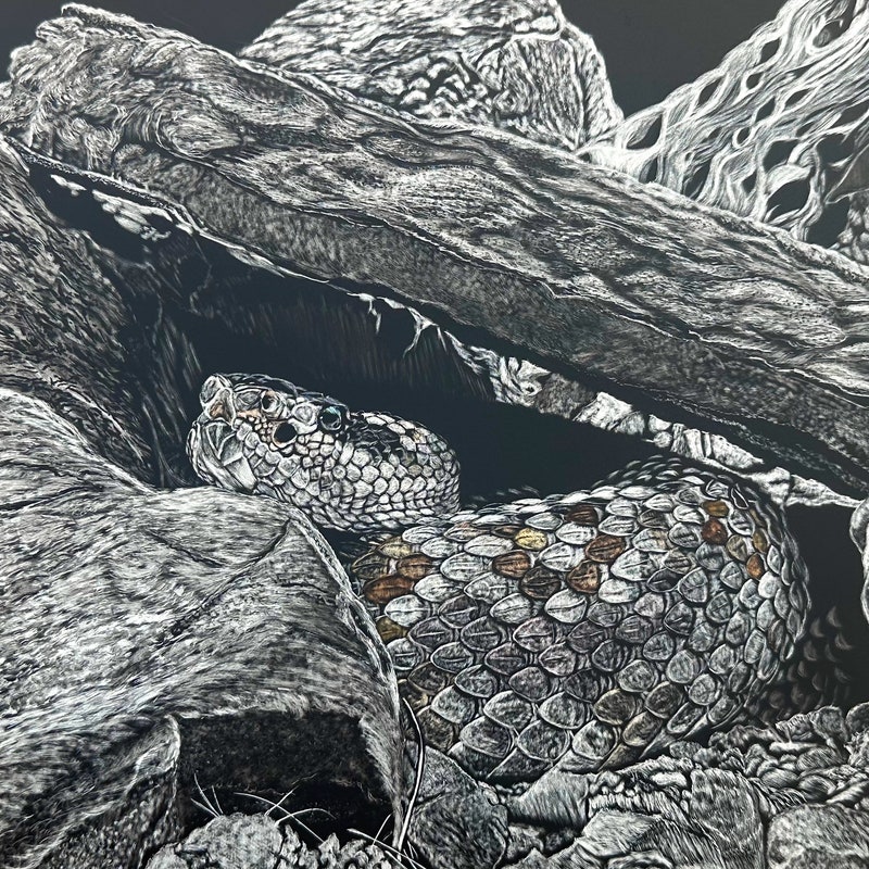 Scratchboard Art - Etsy