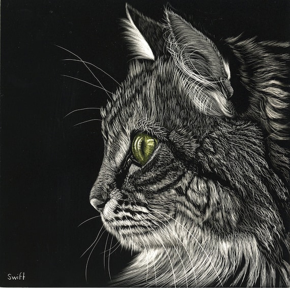 Black And White Scratch Art Animals
