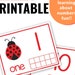 Ladybug Ten Frames Playdough Mats or Activity Mats for Number Counting ...