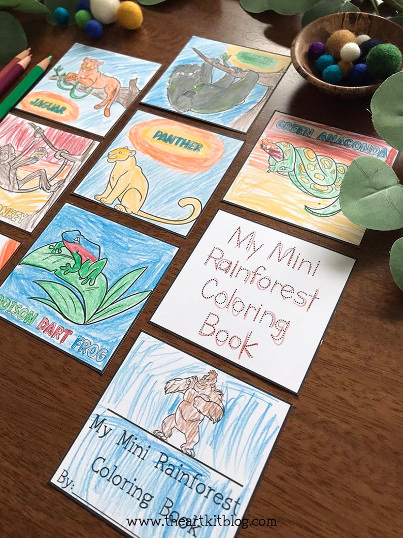 Mini Rainforest Animals Coloring Book Rainforest Coloring - Etsy