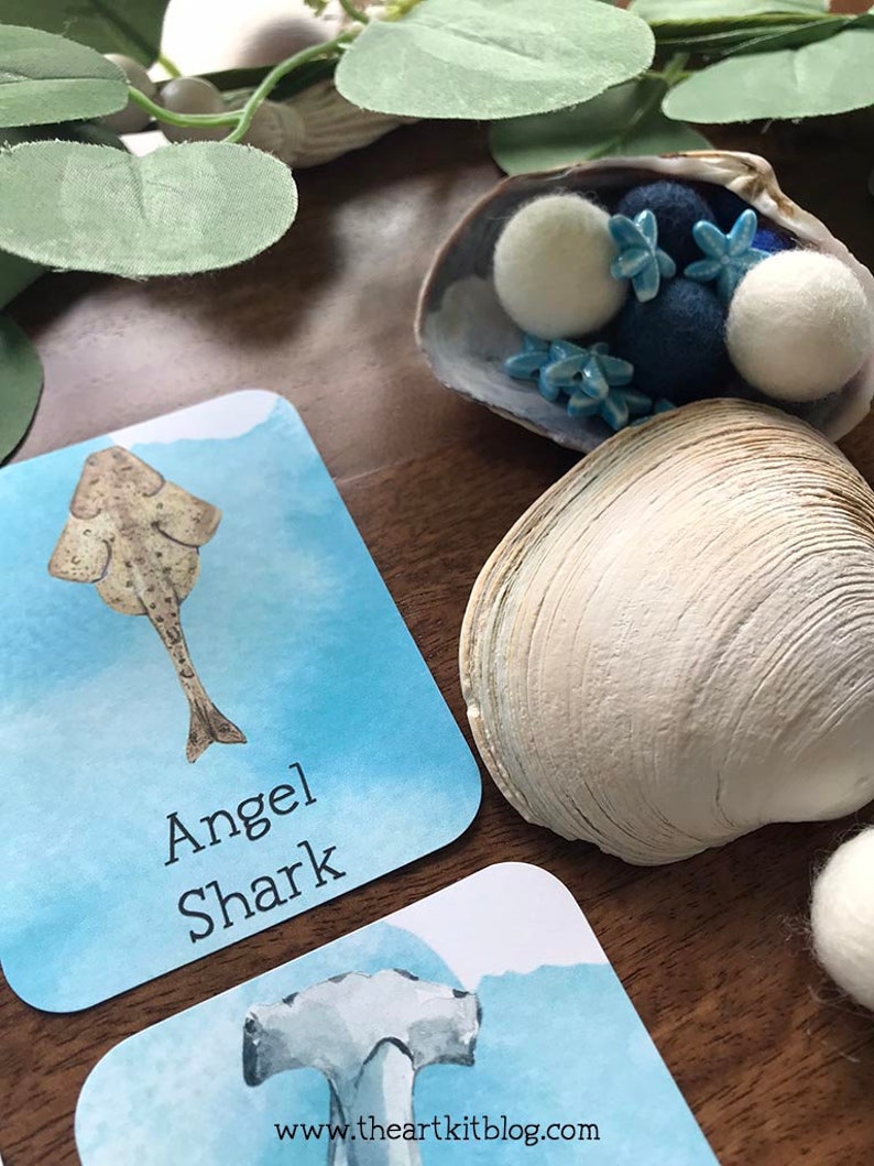 Shark 3 Part Cards PDF Montessori Nomenclature Card - Etsy