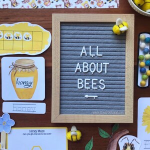 My Honey Bee Learning Pack, Unit Study, Busy Book, Supplemental ...