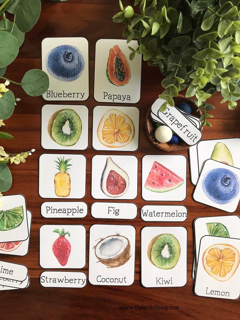Fruit 3 Part Cards PDF, Montessori Nomenclature Cards, Classroom Decor ...