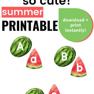 Summer Watermelon Alphabet Letter Uppercase and Lowercase Match up ...