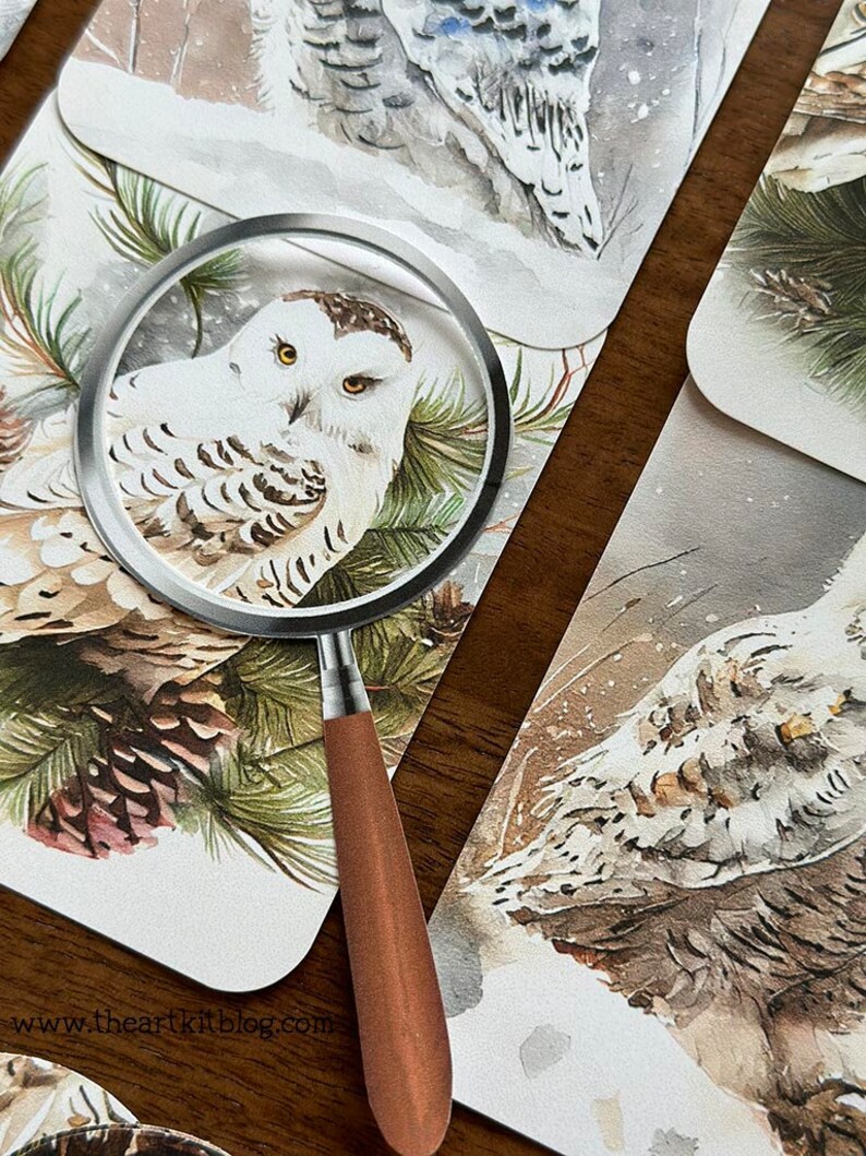 Snowy Owl Match Game Printable for Kids, PDF Download, Memory Match ...