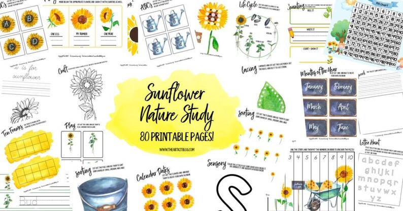 Sunflower Nature Study Printables Educational Learning Unit - Etsy