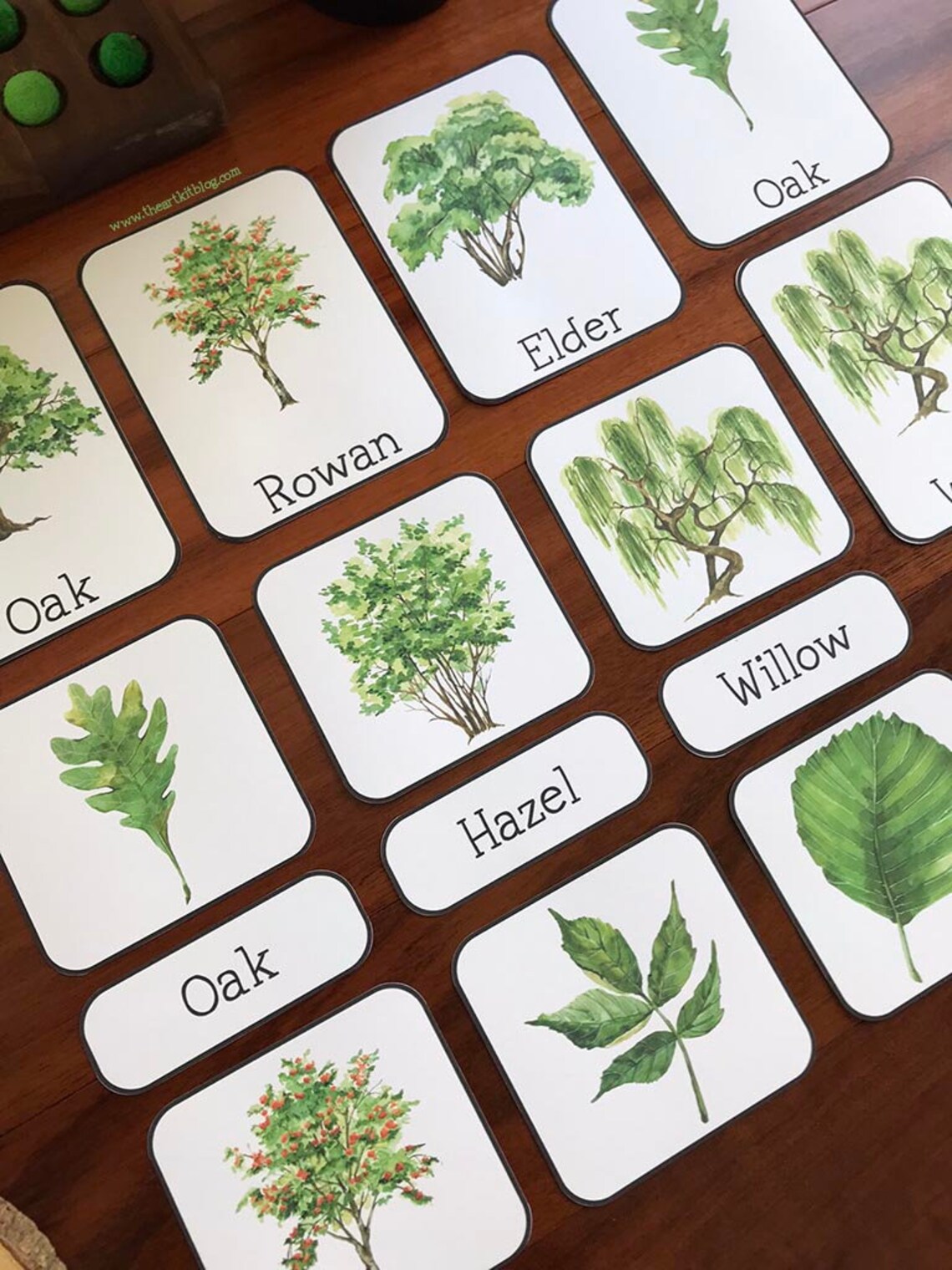 3 Part Cards, Trees, Leaves Printable, Classroom Decor, Tree Unit Study ...