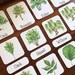 3 Part Cards, Trees, Leaves Printable, Classroom Decor, Tree Unit Study ...