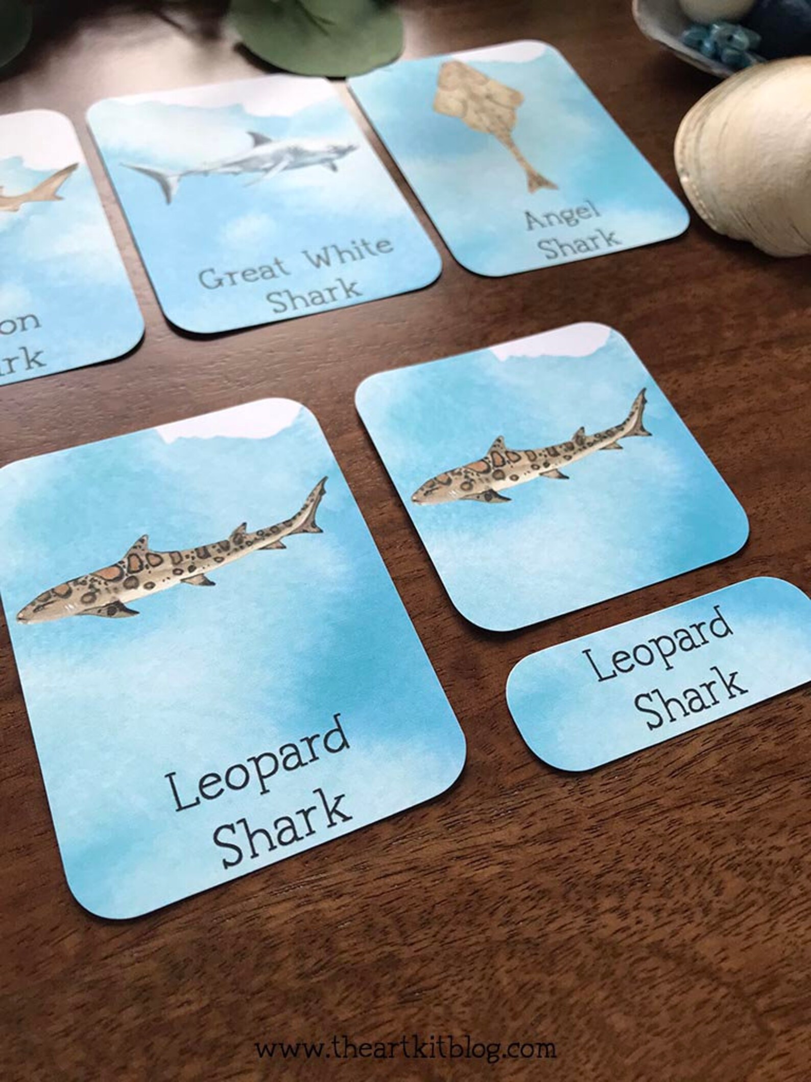 Shark 3 Part Cards PDF Montessori Nomenclature Card - Etsy
