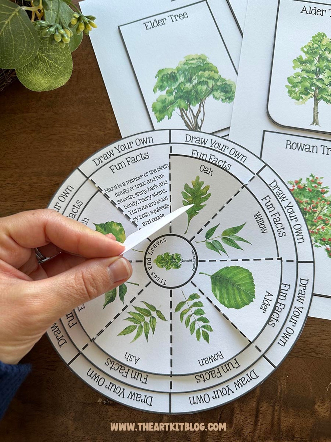 Trees and Leaves Science Study Guide, Foldable Wheel, Lift the Flap ...