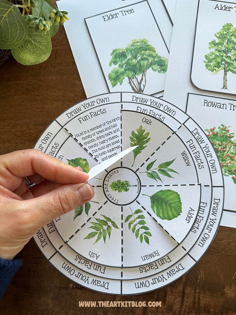 Trees and Leaves Science Study Guide, Foldable Wheel, Lift the Flap ...