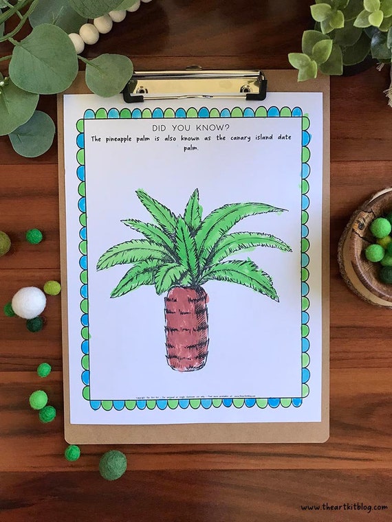 Date Palm Tree Coloring Pages