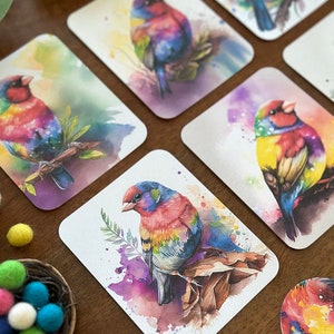 Rainbow Finch Bird Match Game Printable for Kids, PDF Download, Memory ...