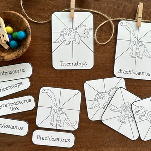 Dinosaur 3 Part Cards PDF, Montessori Nomenclature Cards, Classroom ...