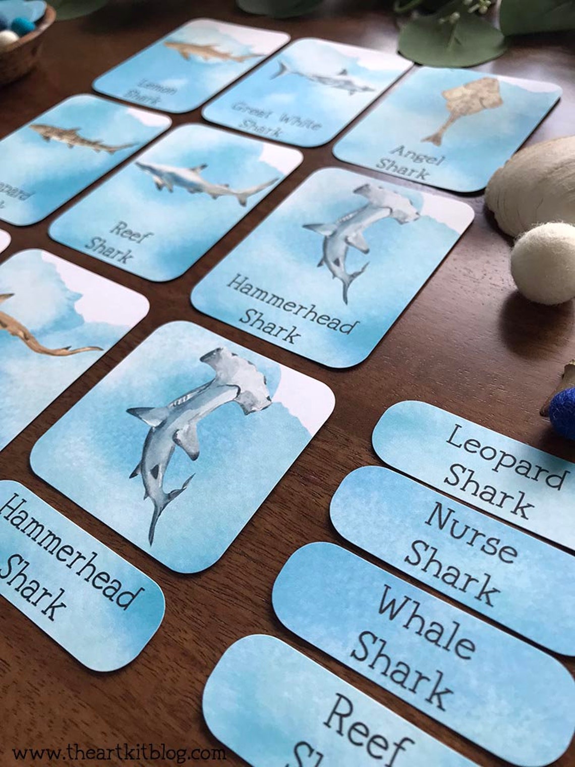 Shark 3 Part Cards PDF Montessori Nomenclature Card - Etsy