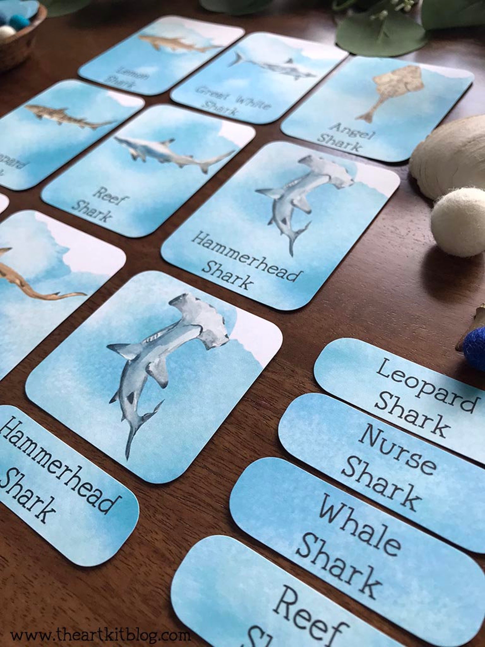 Shark 3 Part Cards PDF Montessori Nomenclature Card - Etsy