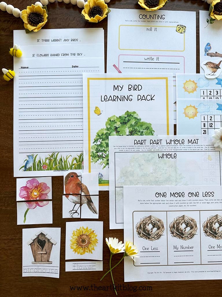Bird Unit Study Nature Study Printables Bird Activity - Etsy