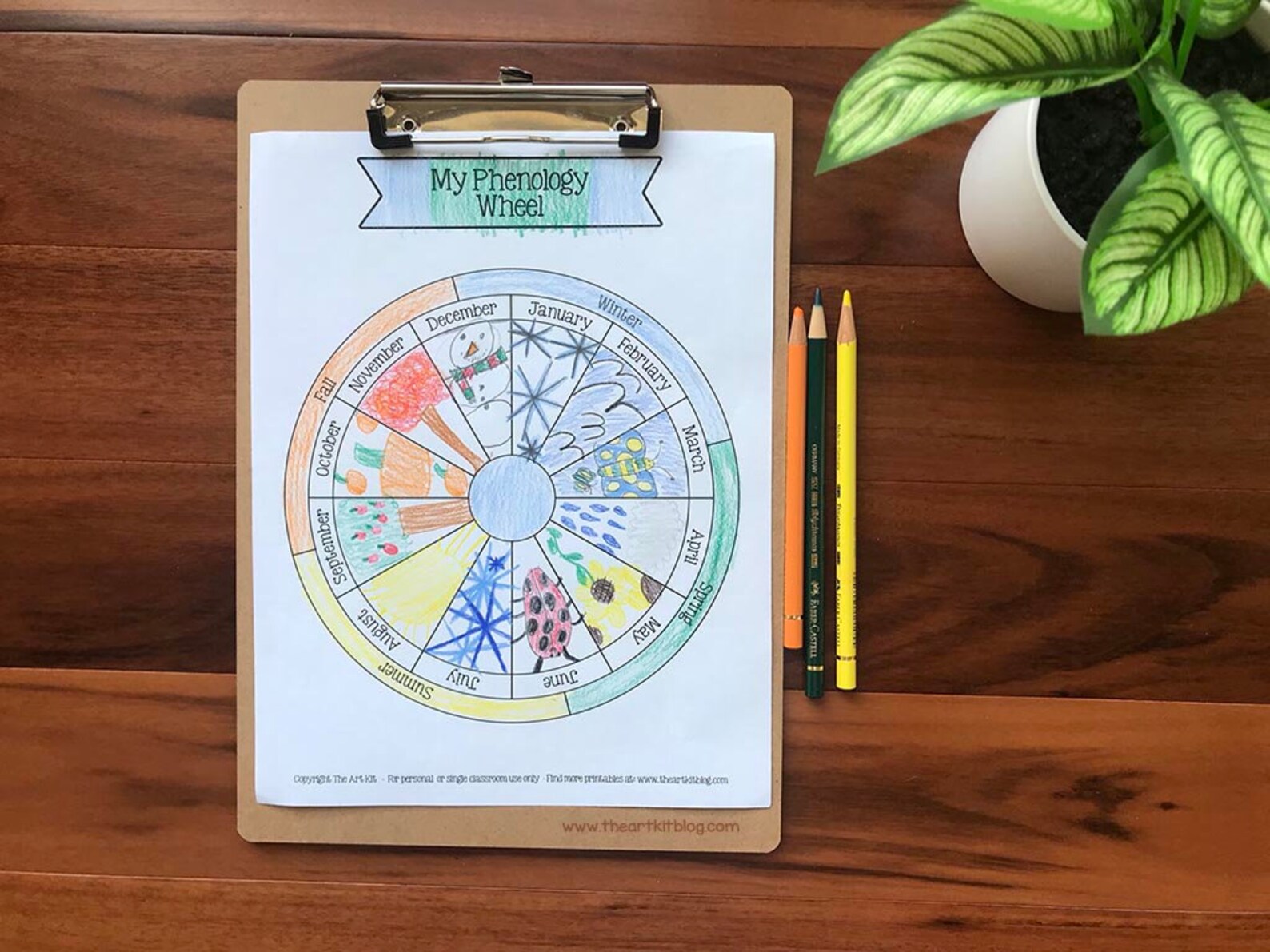 Monthly Phenology Wheel Printable Template, Nature Journaling ...