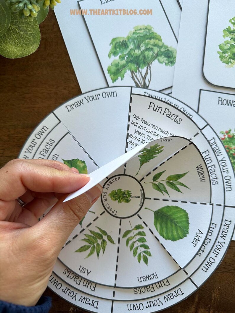 Trees and Leaves Science Study Guide, Foldable Wheel, Lift the Flap ...