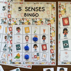 5 Senses Bingo, Bingo Game Printable, Printable for Kids, Homeschool ...