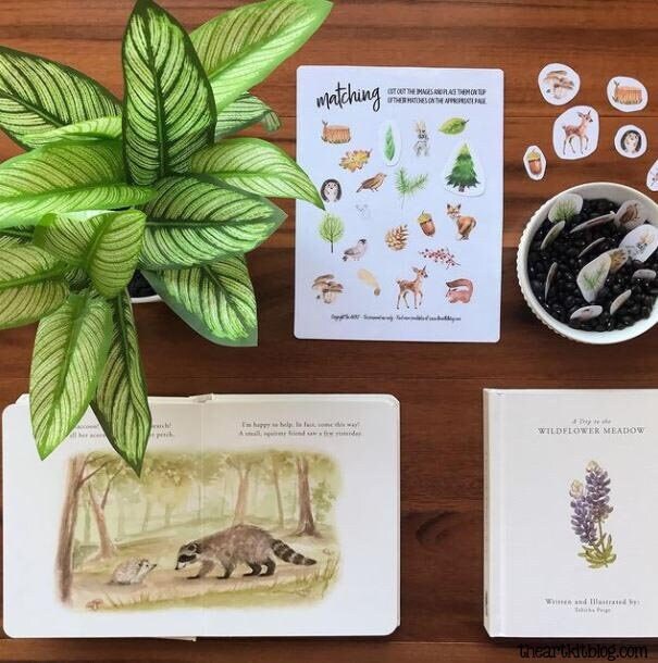 Woodland Nature Study Printables Educational Learning Unit - Etsy