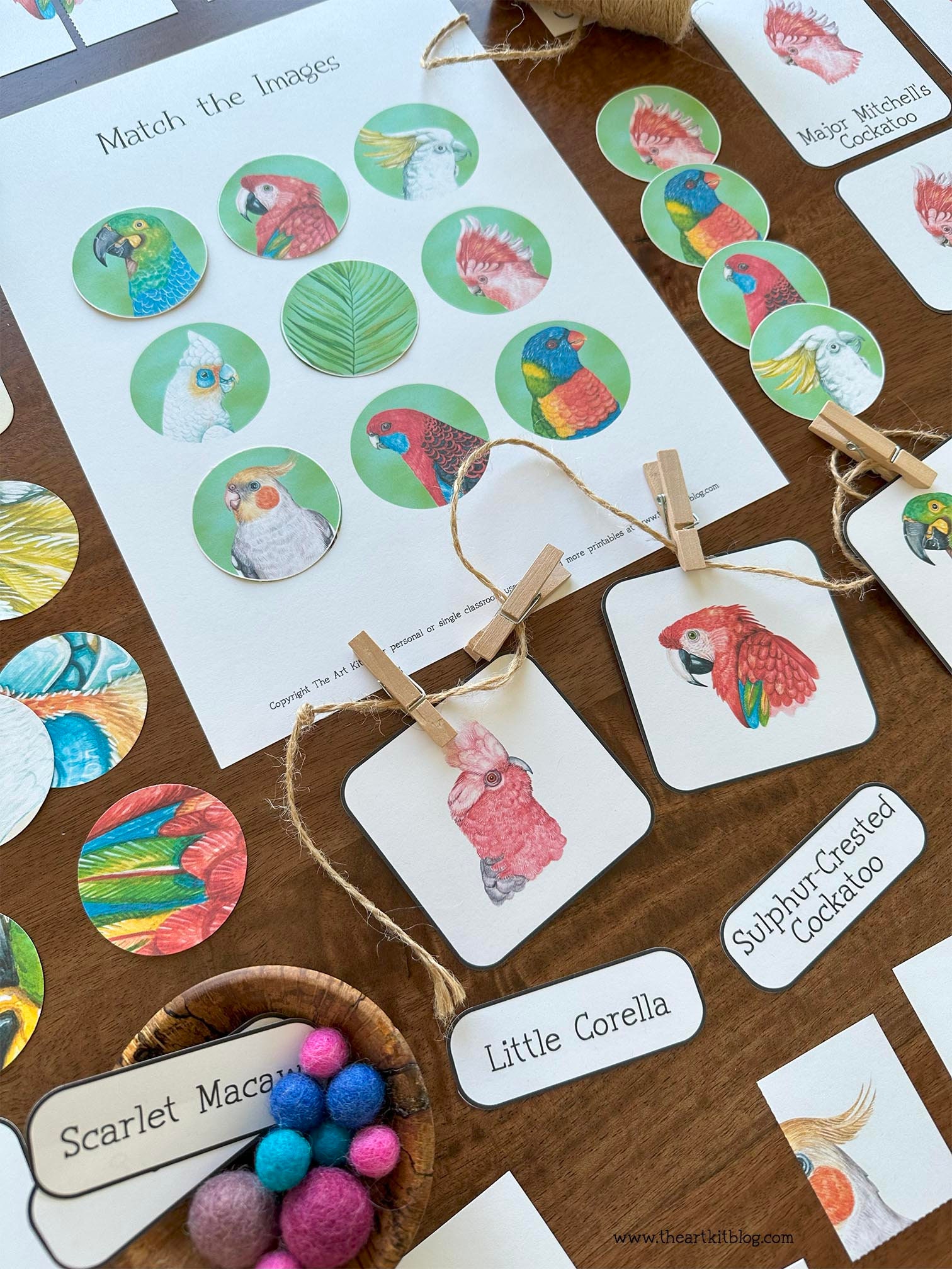 Parrot Printable, Bird Printable, Bird Maze, Parrot Puzzle, Homeschool ...