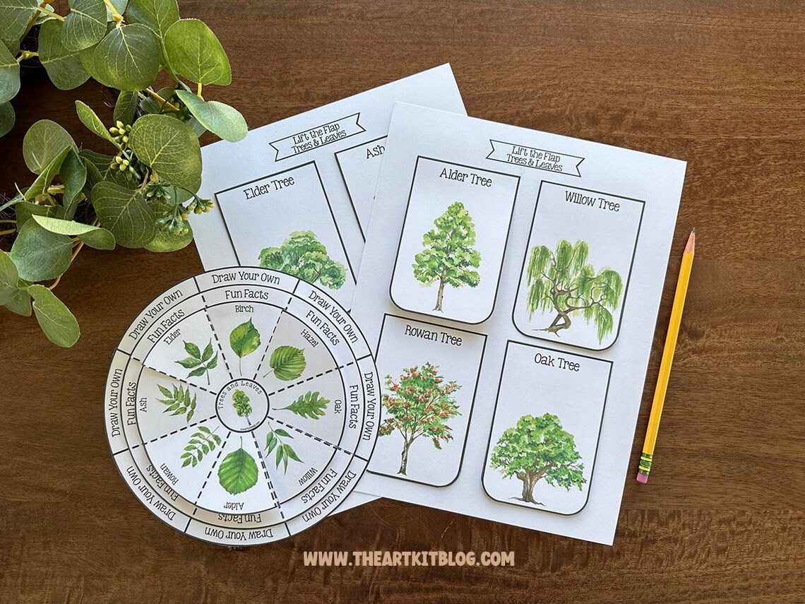 Trees and Leaves Science Study Guide, Foldable Wheel, Lift the Flap ...
