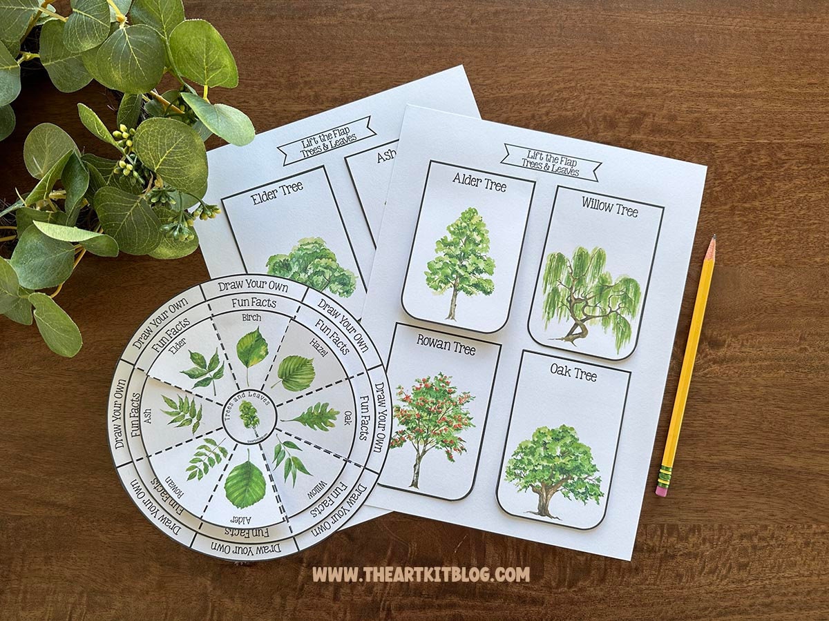 Trees and Leaves Science Study Guide, Foldable Wheel, Lift the Flap ...