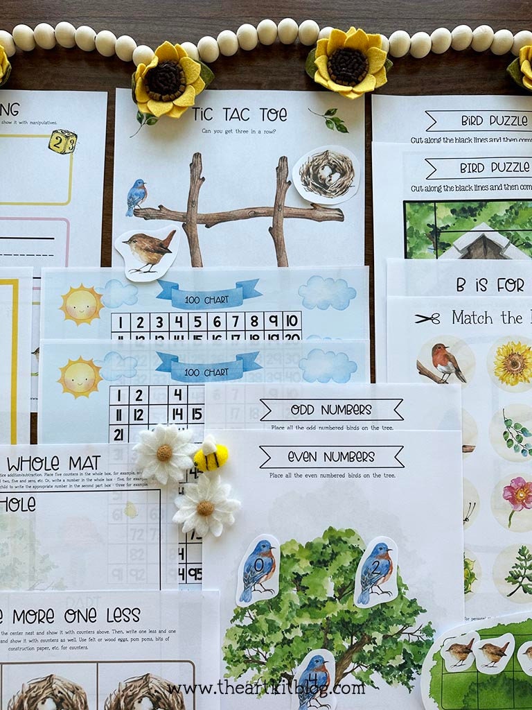 Bird Unit Study Nature Study Printables Bird Activity - Etsy