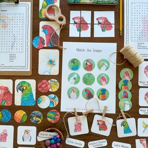 Parrot Printable, Bird Printable, Bird Maze, Parrot Puzzle, Homeschool ...