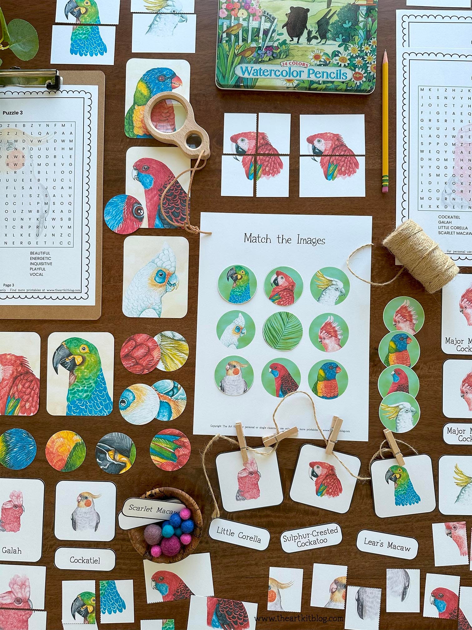 Parrot Printable, Bird Printable, Bird Maze, Parrot Puzzle, Homeschool ...