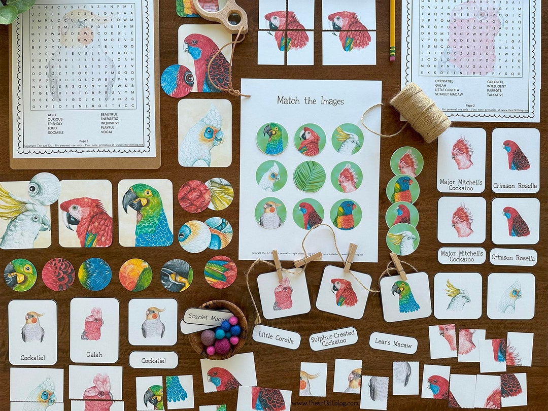 Parrot Printable, Bird Printable, Bird Maze, Parrot Puzzle, Homeschool ...