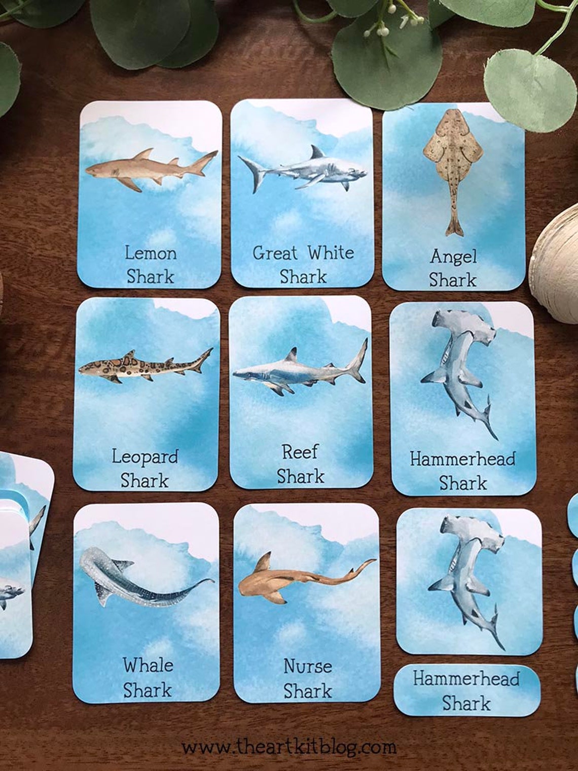 Shark 3 Part Cards PDF Montessori Nomenclature Card - Etsy
