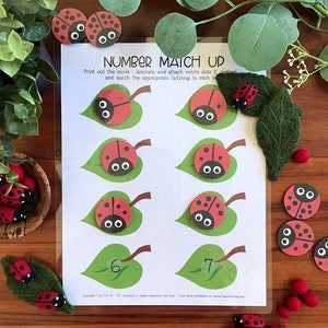 Ladybug Number Match Printable, Busy Book, Math Center, Ladybug ...