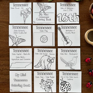 Mini TENNESSEE Coloring Pages, 50 States Coloring Page, USA Homeschool ...
