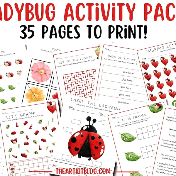 Life Cycle of a Ladybug - Etsy