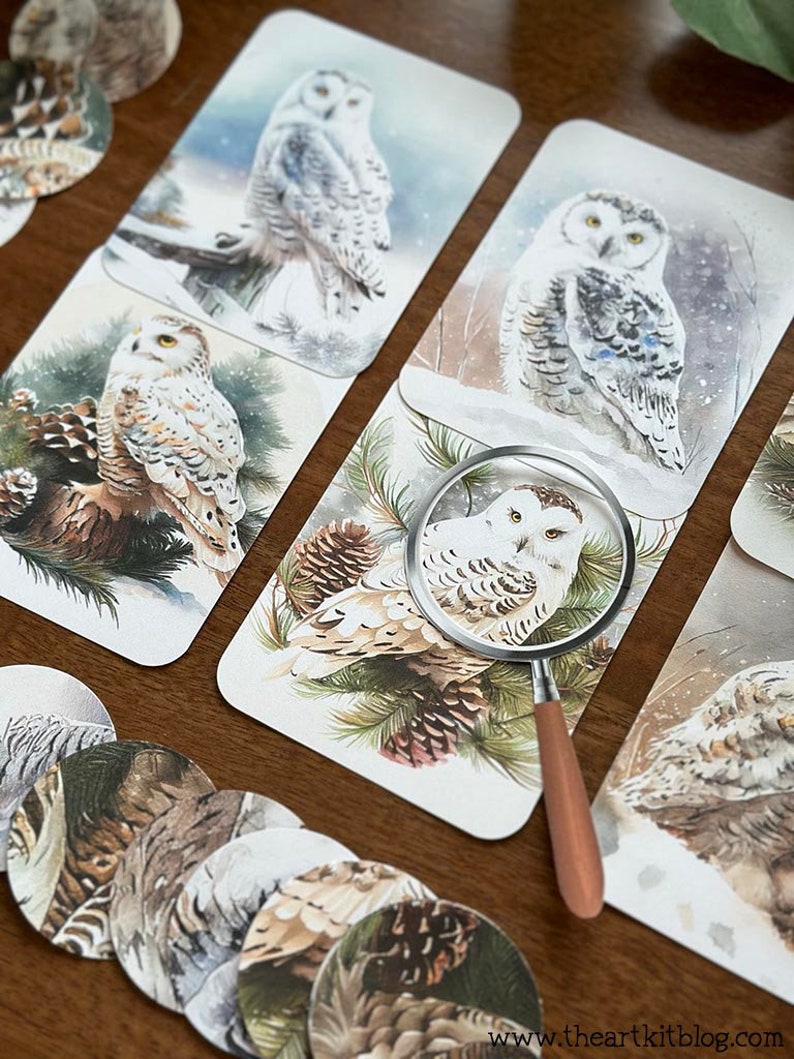 Snowy Owl Match Game Printable for Kids, PDF Download, Memory Match ...