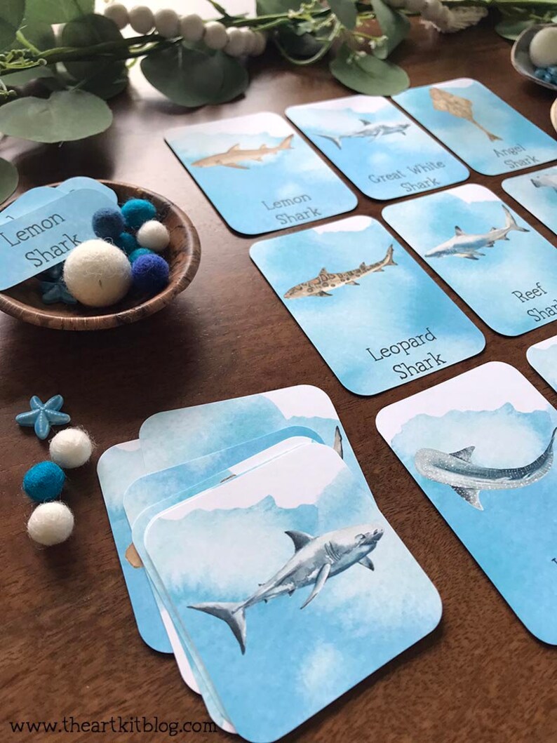 Shark 3 Part Cards PDF Montessori Nomenclature Card - Etsy