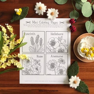 Mini Coloring Book With Flower Names, Mini Coloring Pages, Flower ...