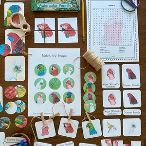 Parrot Printable, Bird Printable, Bird Maze, Parrot Puzzle, Homeschool ...