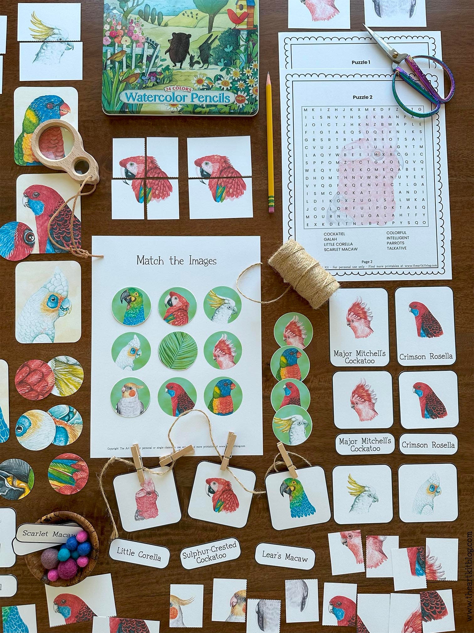 Parrot Printable, Bird Printable, Bird Maze, Parrot Puzzle, Homeschool ...