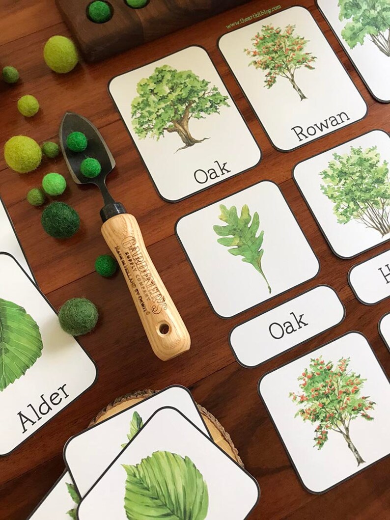 3 Part Cards, Trees, Leaves Printable, Classroom Decor, Tree Unit Study ...