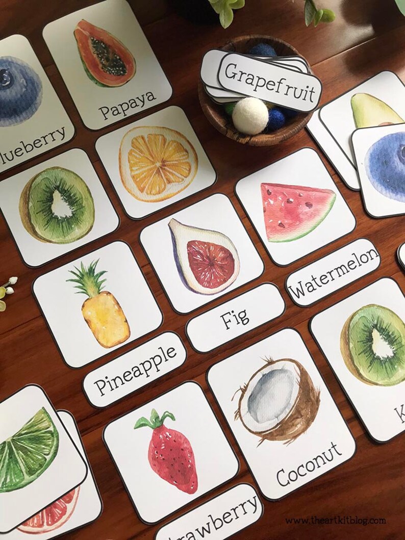 Fruit 3 Part Cards PDF, Montessori Nomenclature Cards, Classroom Decor ...