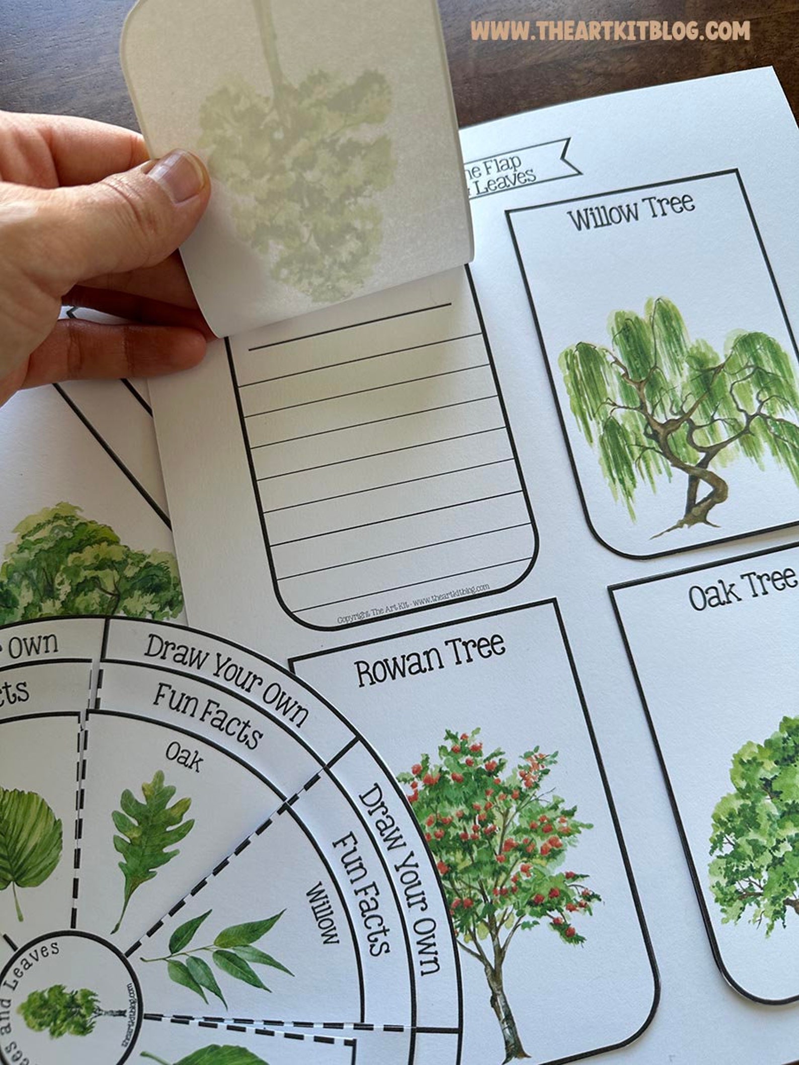 Trees and Leaves Science Study Guide, Foldable Wheel, Lift the Flap ...