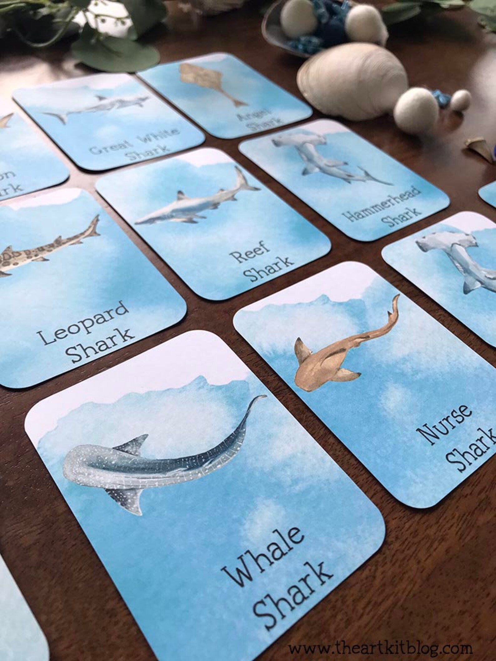 Shark 3 Part Cards PDF Montessori Nomenclature Card - Etsy