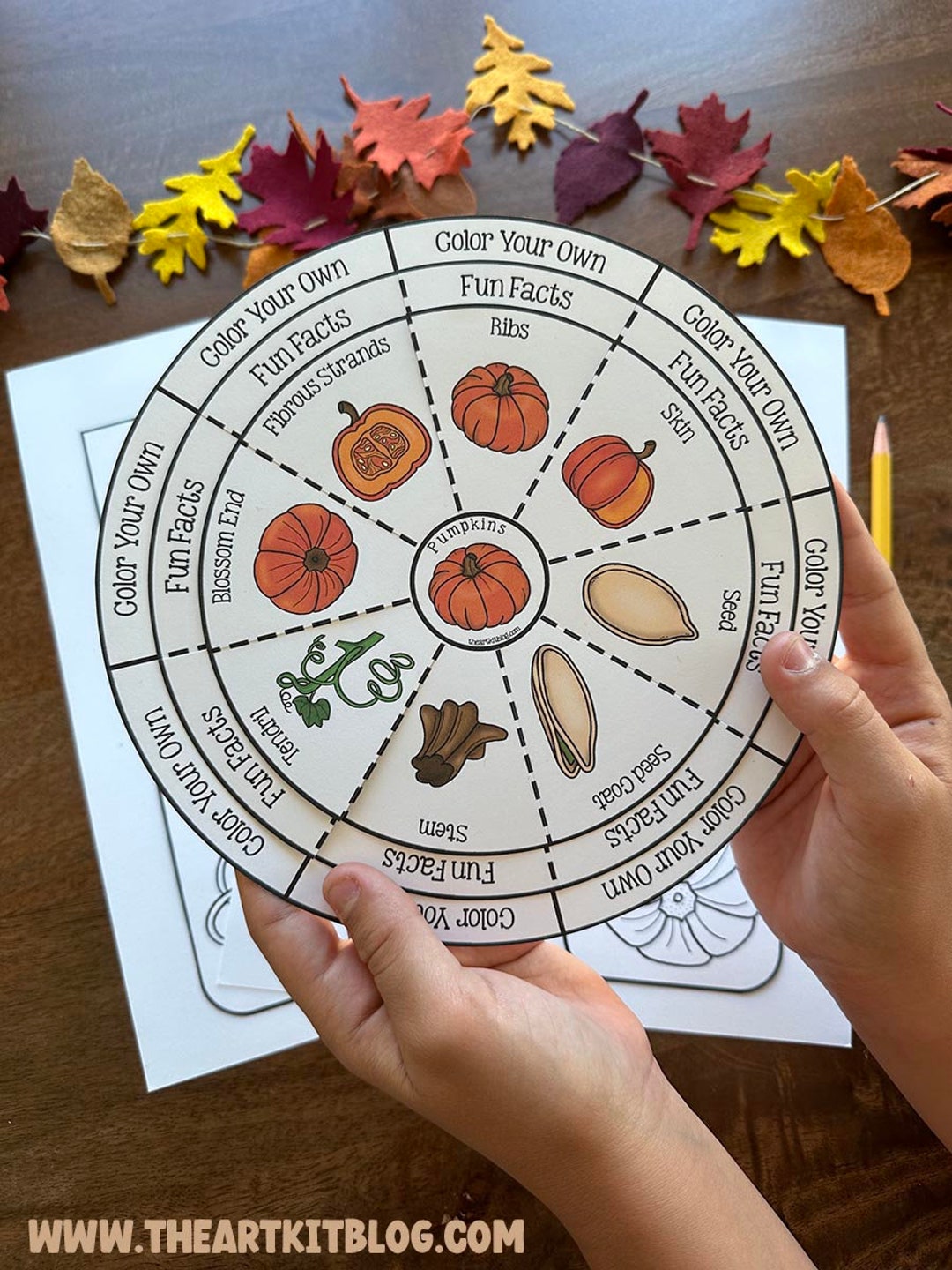 Parts of a Pumpkin Science Study Guide, Foldable Wheel, Lift the Flap ...