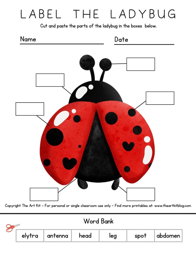 Ladybug Unit Study, Ladybug Life Cycle, Ladybug Printable, Nature Study ...