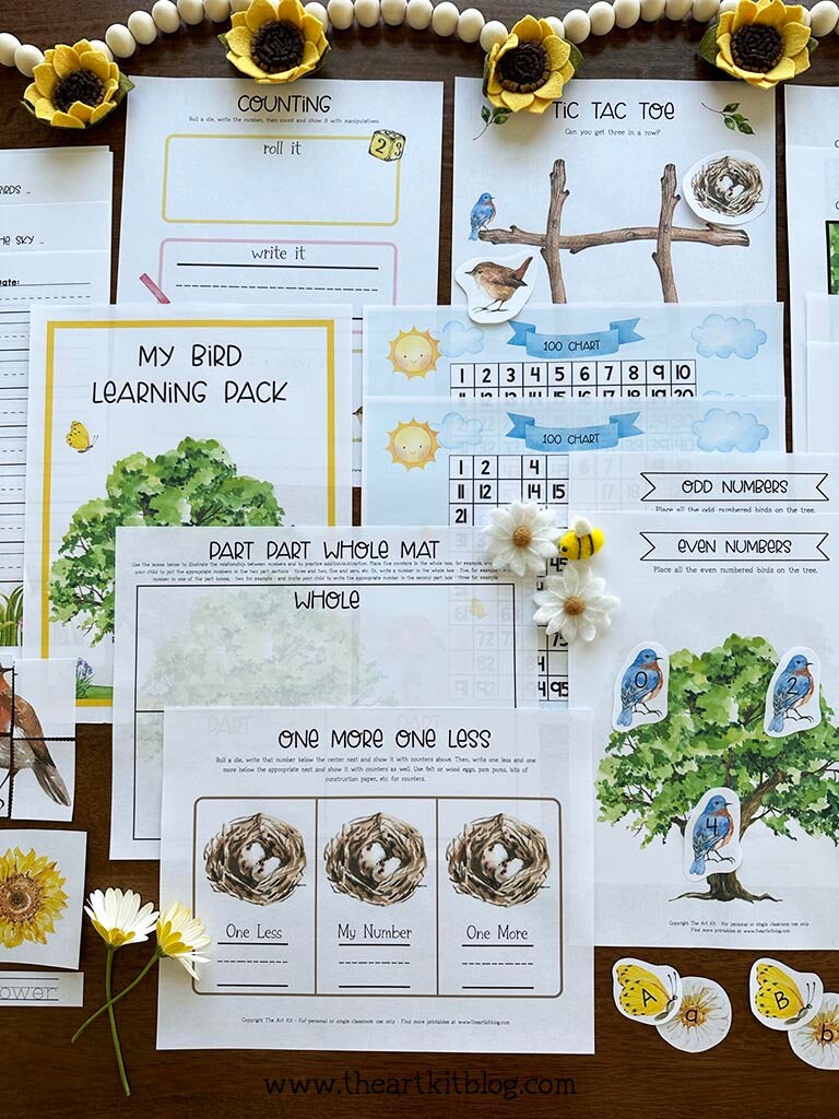 Bird Unit Study Nature Study Printables Bird Activity - Etsy