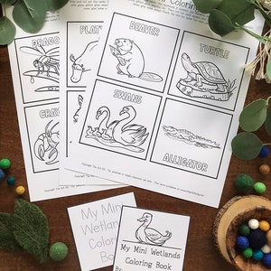 Mini Wetland Animals Coloring Book, Wetland Coloring Pages, Coloring ...